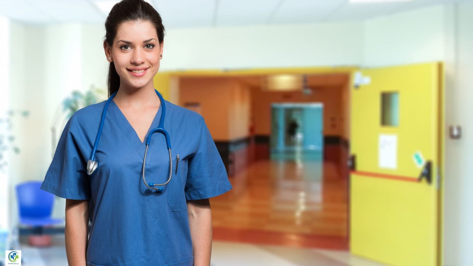 SANC ERegister Www.sanc.co.za (2025)